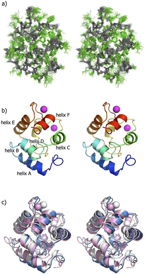 Nmr Structures Of The Pacific Mackerel Parvalbumin Sco J 1 In Stereo
