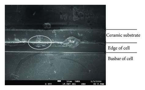 Cross Sectional Sem Micrograph Shows The Crack And The Au Particle In Download Scientific
