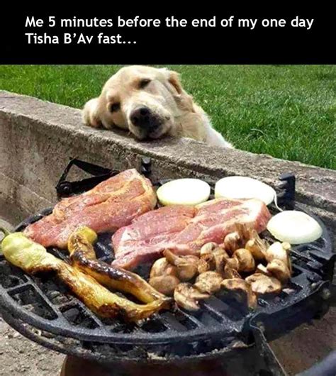 Shabbat Shalom Scrolller