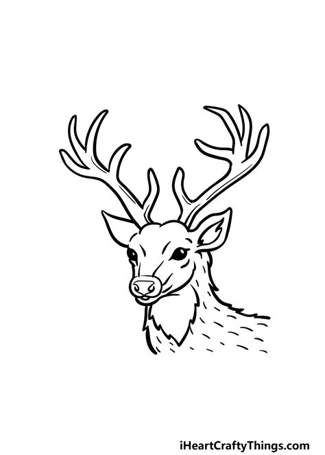 How To Draw Deer Picture