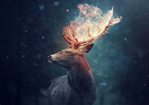 Animated Deer Wallpaper