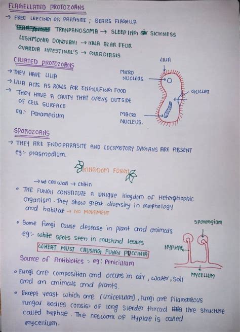 Biological Classification Easy Notes