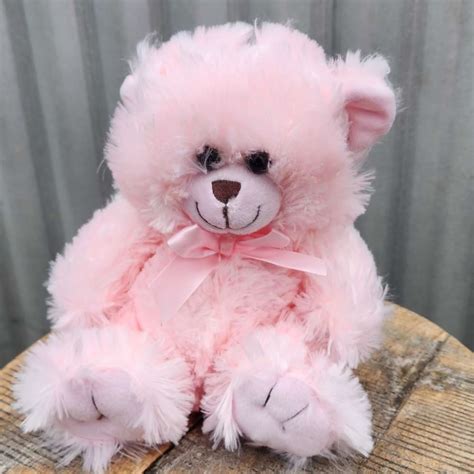Pink Colour Teddy
