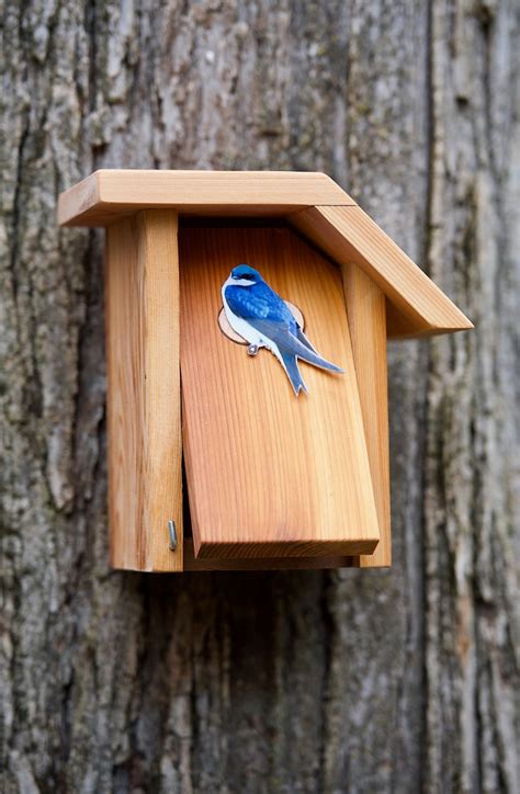 Tree Swallow Cedar Bird House Etsy