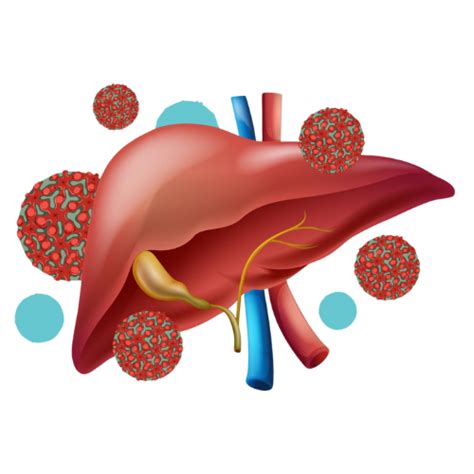 Hepatitis B Chennai Liver Foundation