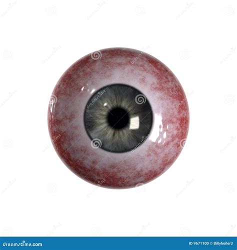 Actual Human Eye Out Of Socket