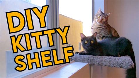 Diy Cat Window Perch Step By Step Guide Blitsy