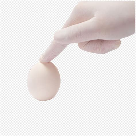 Research And Cultivation Of Genetically Modified Eggs Genetically