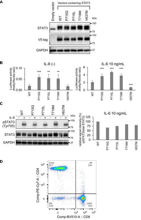 Novel Germline Stat3 Gain Of Function Mutation Causes Autoimmune Diseases And Severe Growth