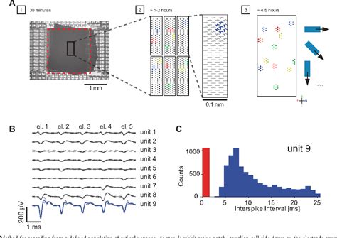 Figure 1 From Visual Coding With A Population Of Direction Selective