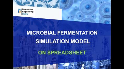 Microbial Fermentation Simulation Model On Spreadsheet Youtube