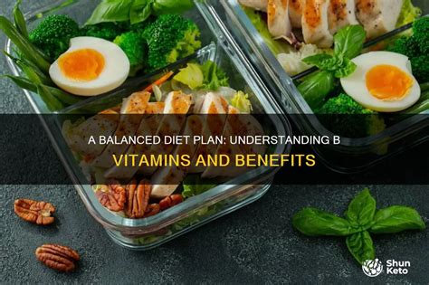 A Balanced Diet Plan Understanding B Vitamins And Benefits Shunketo