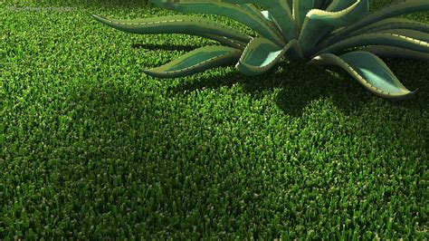 Grass Patch 3d Turbosquid 2243490