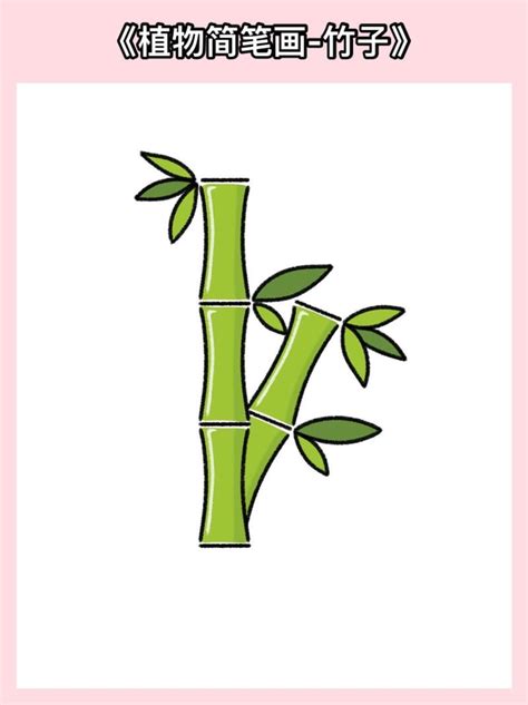 竹子简笔画法步骤及上色（14张）简笔画图片大全