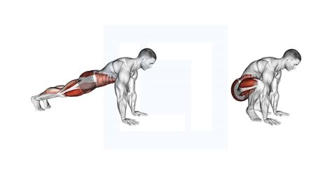 Frogger Guide Benefits And Form