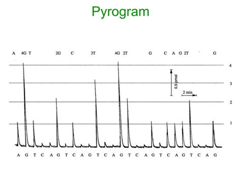01 Sequencing Technologies 1 Ppt For Education Ppt Computer Software And Applications
