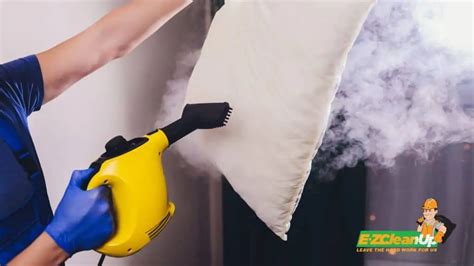 Bed Bug Furniture Removal Complete Guide 🕷️ Ez Cleanup