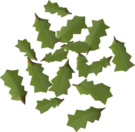Oak Tree Leaves Clipart