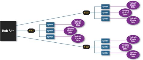 insights to node capabilities and options