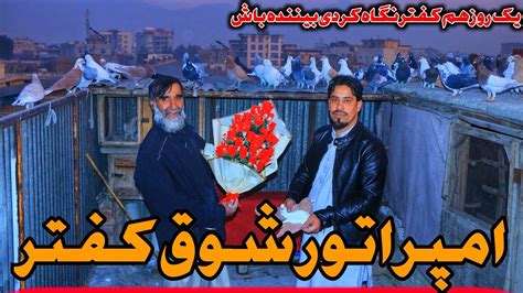 تقدیر از امپراتور شوق شوقی نامدار کابل زمین را بشناسید شوقی کفتر استی حتمآ بیننده باشید