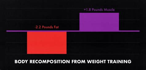 What Is A Recomp Body Recomposition Explained
