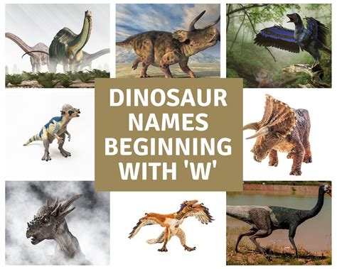 Dinosaur Names Beginning With B A To Z Dinosaurs