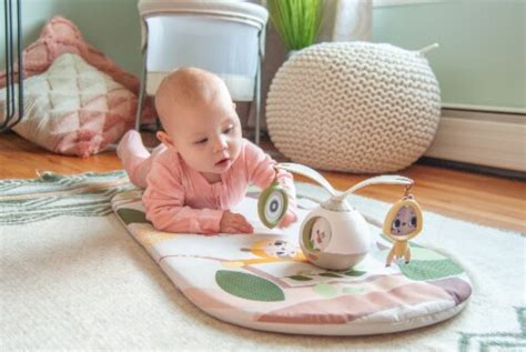 Tiny Love 2 In 1 Take Along Deluxe Bassinet 1 Piece Kroger