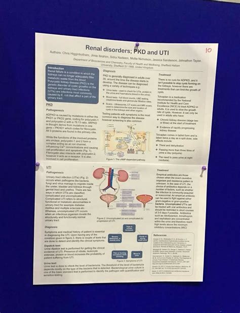 Who Knew A Poster On Renal Disorders Could Make Me This Nostalgic
