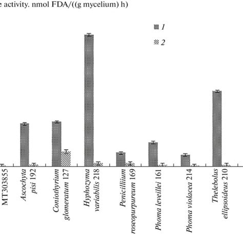 Esterase Activities Of The Antarctic Micromycete Strains Cultivated On