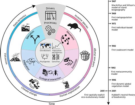 Bio 111 Environmental Science Ecosystem Structure