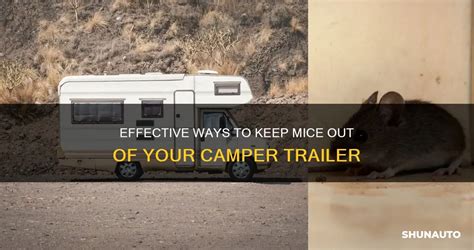 Effective Ways To Keep Mice Out Of Your Camper Trailer Shunauto