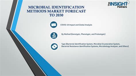 Ppt Microbial Identification Methods Market Dynamics Outlook