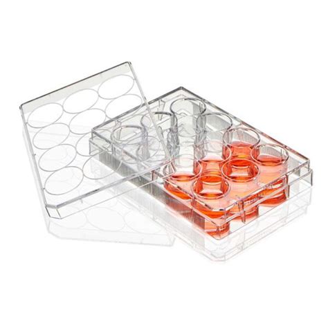 Multiple Well Plate 12 Well Flat Bottom Tissue Culture Treated