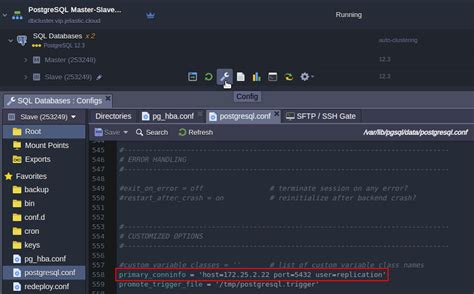 Postgresql Auto Clustering Virtuozzo Dev Docs