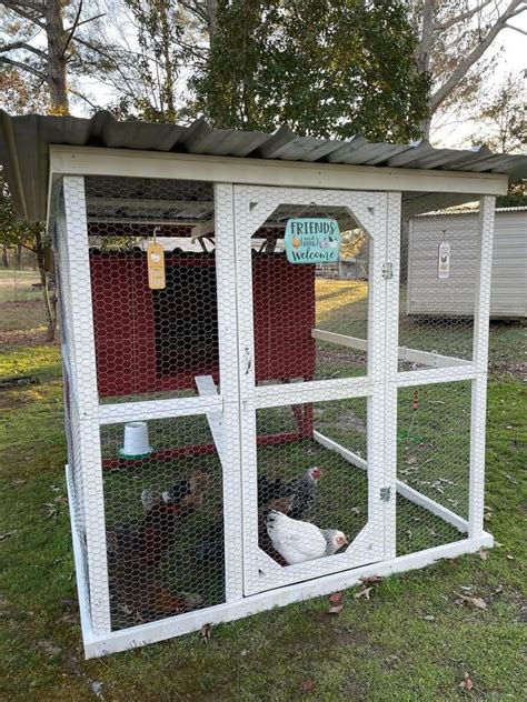 Chicken Coop With Chickens