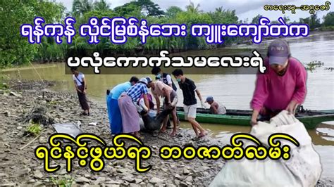 ရန်ကုန် လှိုင်မြစ်နံဘေး ကျူးကျော်တဲက ပလုံကောက်သမလေးရဲ့ ရင်နင့်ဖွယ်ရာ