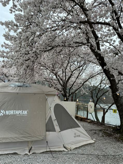 벚꽃캠핑 합천 꿈꾸는캠핑장 최고는 이유가 있다 네이버 블로그