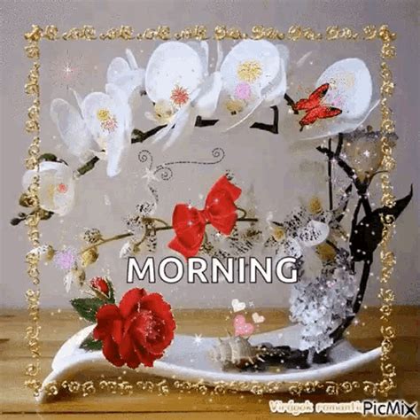 Good Morning Flowers Gif Image Best Flower Site