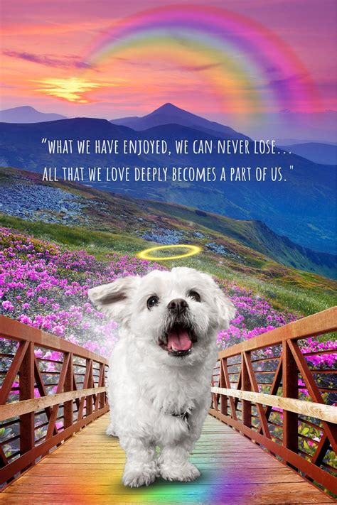 Rainbow Bridge Memorial Custom Portrait Rainbow Bridge Pet Loss
