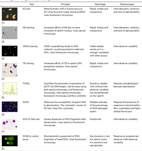Table 1 From Clinical Utility Of Sperm Dna Fragmentation Testing Practice Recommendations Based