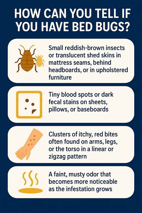 Beg Bug Control Near Me Hendersonville Tn Smash Pest Control