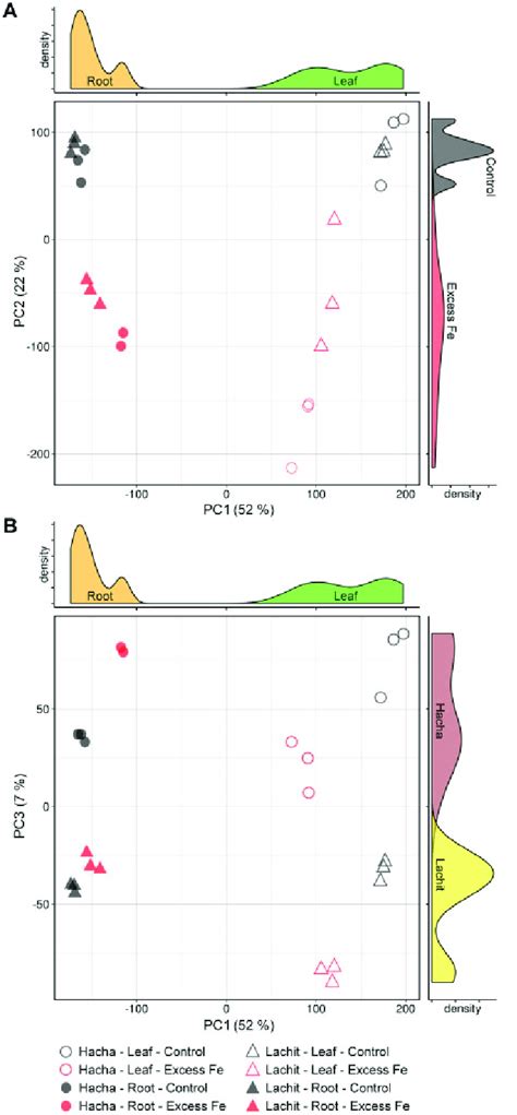 Principal Component Analysis Pca Biplots Of Rna Seq Samples And