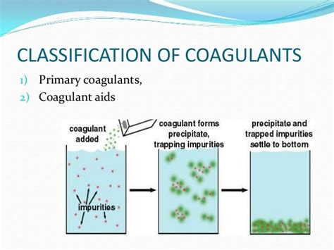 Best Coagulant For Water Treatment Bzzda