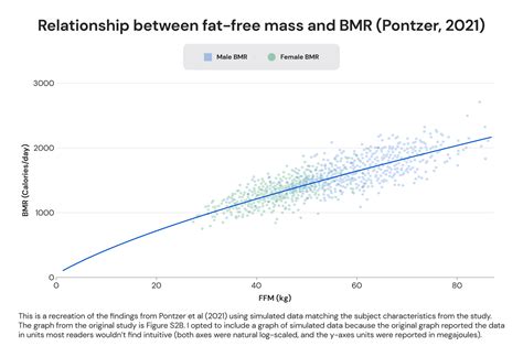 The Impact Of Sex On Basal Metabolic Rate Macrofactor