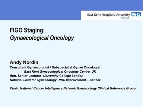 Pdf Figo Staging Gynaecological Oncology Dokumentips