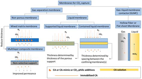 Membrane Filtration Co2 At Booker Zuniga Blog