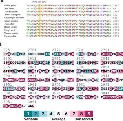 Evolutionary Conservation Analysis Of P Pro2943leu Mutation On Col12a1