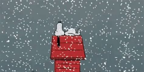 Snoopy Snow  Snoopy Snow Asleep Discover And Share S