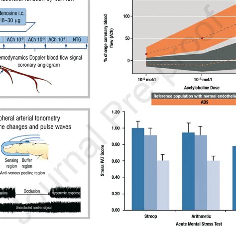 Different Methodologies To Assess Endothelial Dysfunction In The Download Scientific Diagram