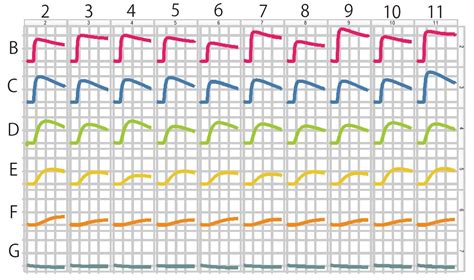 Analysis Of Intracellular Calcium Response Depending On Ionomycin